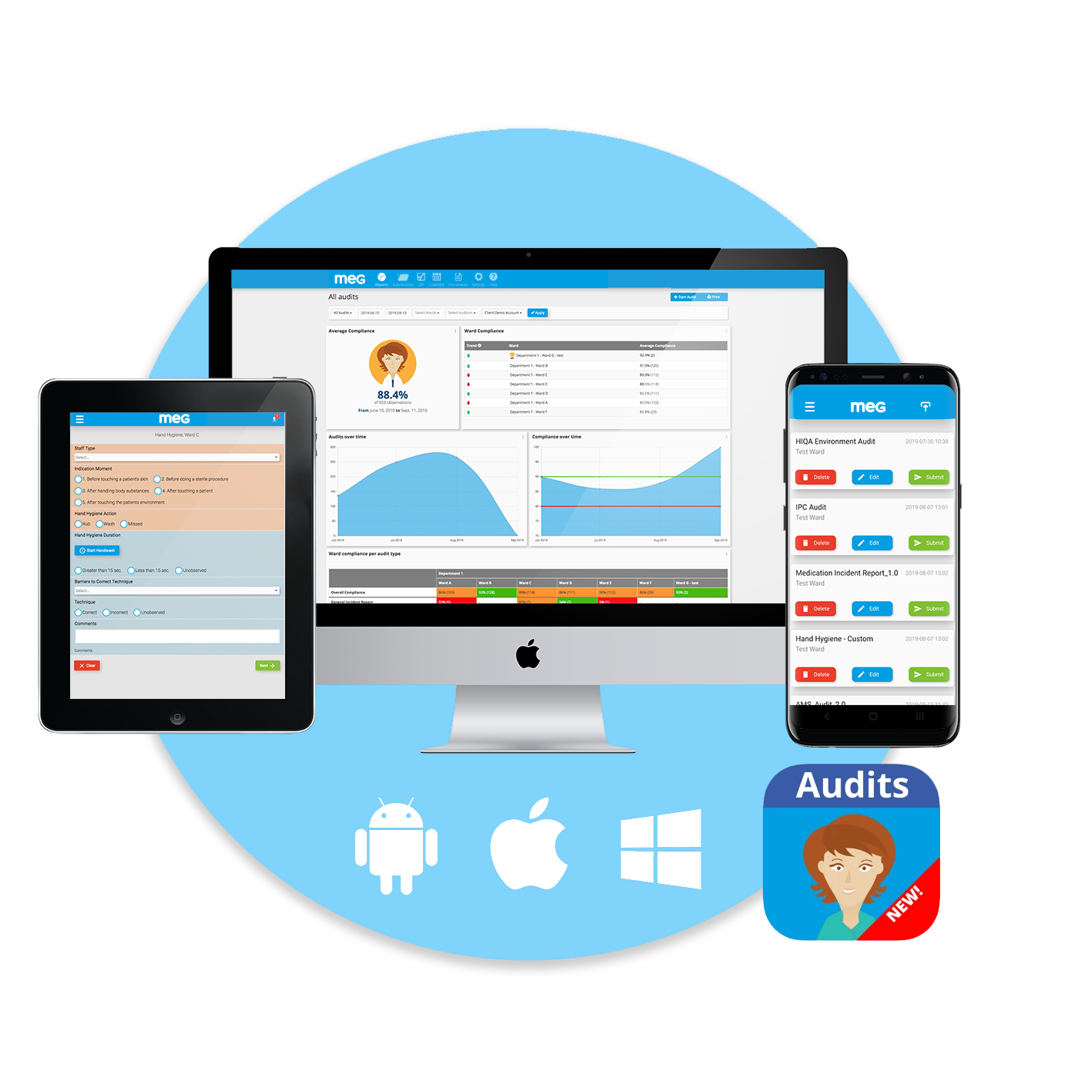 Manual del usuario de MEG | App de auditoría para escritorio