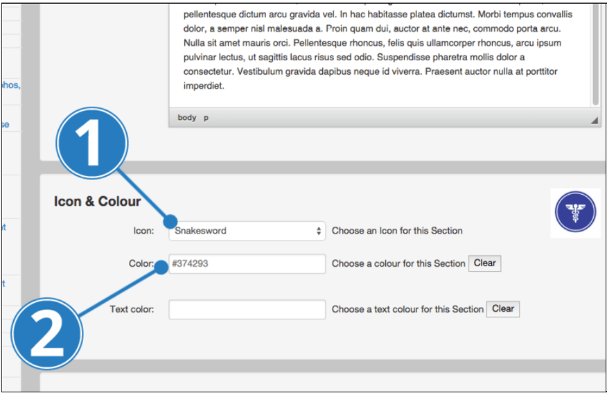 Selecting Section Icons & Colour
